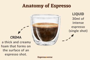 What Is Espresso? 7 Amazing Things About Espresso